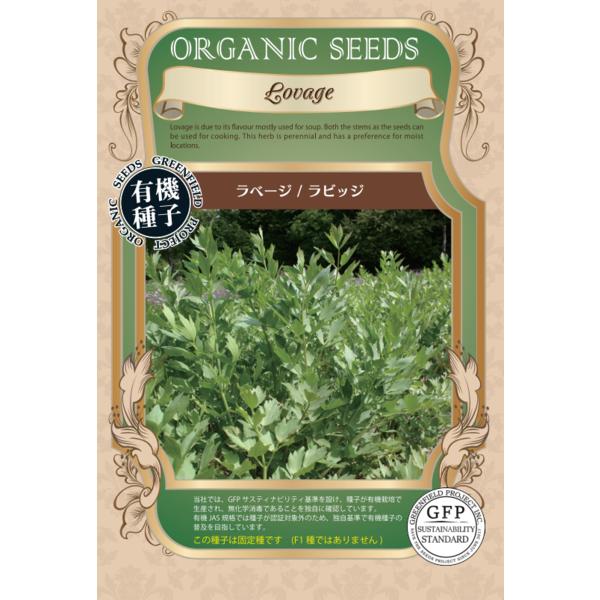 ラベージ ラビッジ 種 ハーブ オーガニック 有機種子 固定種多年草の比較的湿度のある環境で育つハーブで、背丈が2mほど伸びます。涼しい環境を好みます。花・葉・茎・根・種とすべて食すことができるハーブです。葉や茎をスープやサラダに使用します...