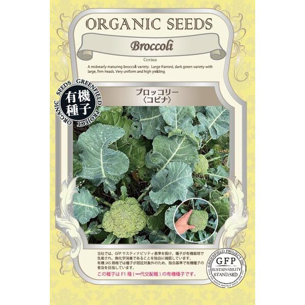 ブロッコリー 種 ぶろっこりー コビナ オーガニック 有機種子 F1種中早生タイプのブロッコリー。主に春まき品種ですが、秋まきで早生収穫も可能です。花蕾は中くらいの大きさで締まりがよく、形が揃いやすいのが特徴です。生食用・加工用のどちらにも...