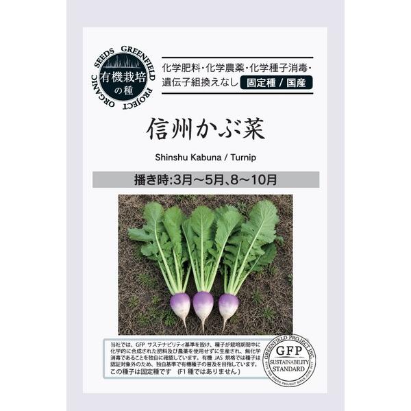 かぶ カブ 種 信州かぶ菜 オーガニック 有機種子 固定種長野県伊那地方に伝わる在来かぶ。葉と根の両方を楽しめ、漬物やおひたし、煮物にもおすすめです。秋まきで越冬させると、よりおいしくなります。葉は漬物やおひたしや炒め物に、根は漬物や煮物な...