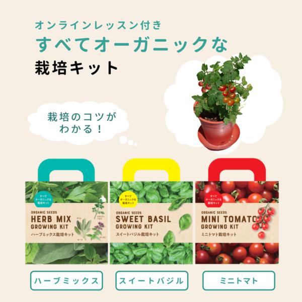 オンラインレッスン付き！すべてオーガニックな栽培キット有機のタネと有機培養土、プランターのエコ栽培キットです。オンラインレッスンがついているので、栽培初心者さんにもおすすめです。プロの講師がやさしくていねいにレッスンします！1回完結のレッス...