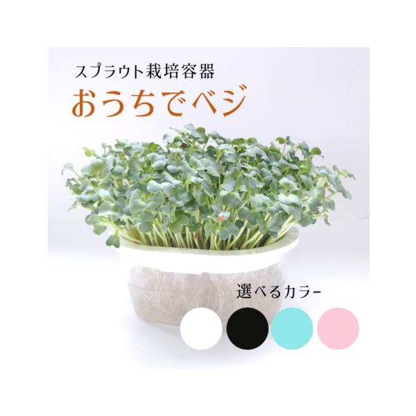 おうちでベジ スプラウト栽培専用容器 選べるカラー水を替えるだけ！キッチンやお部屋の省スペースで栽培できるスプラウト。手軽にフレッシュな野菜がとれるのはうれしいですね。スプラウト栽培専用容器のスリムタイプ！カラーは4タイプ、ブラック・ホワイ...