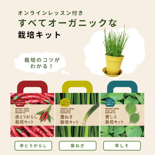 オンラインレッスン付き！すべてオーガニックな栽培キット 和の薬味シリーズ有機のタネと有機培養土、プランターのエコ栽培キットです。オンラインレッスンがついているので、栽培初心者さんにもおすすめです。プロの講師がやさしくていねいにレッスンします...