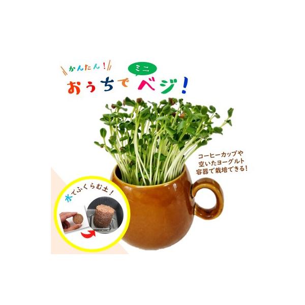 おうちでミニベジ ふくらむ土でスプラウト栽培！選べる品種誰でもカンタンに栽培できるスプラウト栽培キットです。室内で、約1週間で収穫できる手軽なミニグリーン。栽培初心者の方にもおすすめです！栽培から7〜10日で食べごろです！【商品内容】・有機...