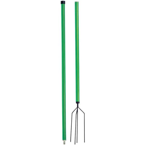 アサリ 潮干狩り 貝堀り