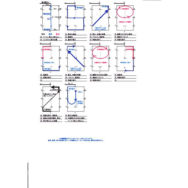 2022年11月14日から施行される馬場の経路をオリエンタルソフィーオリジナル図解常歩、駆歩、歩度を色別、太さ別で記載してありますので違いが一目稜線！着眼点や係数も記載してあるのでポイントを外さない！オリジナル経路図をA4サイズと騎乗中に確...