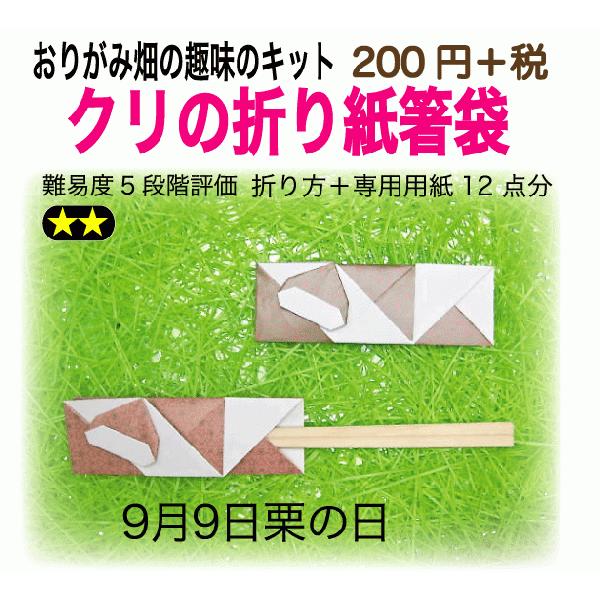 折り方図A4 1枚＋専用折り紙（147×147mm）片面12枚※比較的簡単な作品、しかし一部難しく冷静な比較力が必要です。※清川村おりがみ箸袋農産物コーナー にも同じ作品が掲載されています。