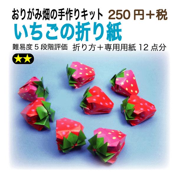 おりかた図A4 1枚＋専用おりがみ（約147×147mm）両面12点分※難しく、チャレンジ心を刺激するおりがみ作品のおりかたです。※少部数の商品のため、コスト削減で、裁断袋詰めと独自にし、市販の安価な袋にテープとめ、厚紙、製品説明広告も省き...