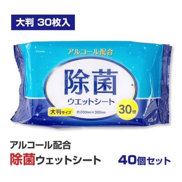 除菌ウェットシート アルコール配合 大判 30枚 40個セット★１個あたり 111.1円（税込122.2円）★アルコール配合の除菌ウェットティッシュです。大判サイズで1枚でもしっかり拭き取れます。身のまわりをすっきり清潔に！【購入前にご確認...