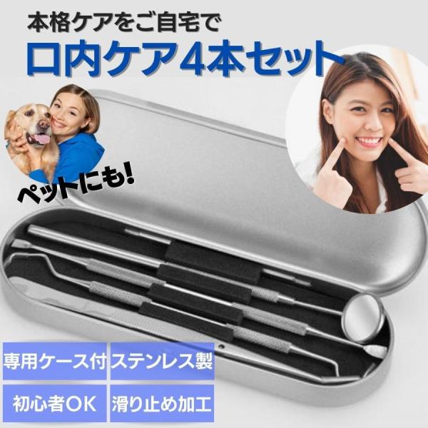 Yahoo!ショッピング 歯石取り部門 ランキングNo.1商品【新品アウトレット品】※こちらの商品は、輸入搬送時に生じた負荷でケースに凹みがある場合があります。内部のツール本体には全く影響なく機能的に問題はありませんが、ご理解ご了承の上、ご...