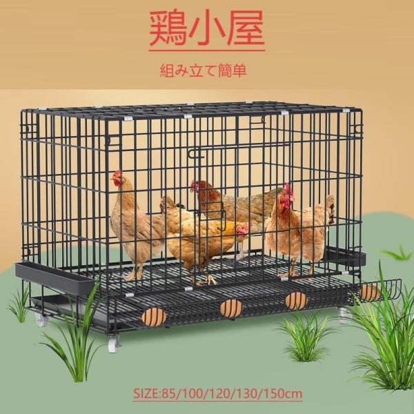 【家庭用鶏小屋】鉄製の鶏小屋は木製の鶏小屋とは異なります。サイズが小さく、家族での使用に適しています。折りたたみが簡単で、家庭や屋内、ペットショップでの使用に適しており、ニワトリだけでなく、ハト、アヒル、猫、犬、ウサギにも使用できます。【環...