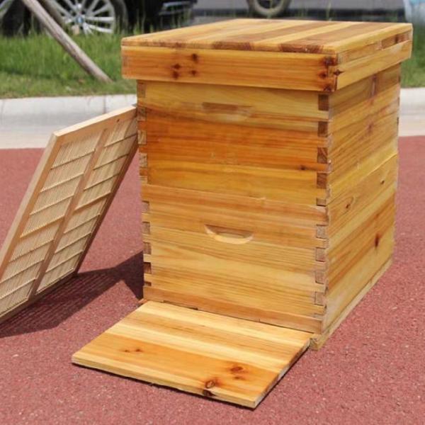 *商品仕様：素材：杉材：重量：約11950g ；サイズ：約 55x45x59cm*養蜂製品：完全なセット、簡単な組み立ては、非常に実用的な養蜂製品です。蜂蜜をより安全で、より自然で新鮮なものにすることができます。養蜂家にとって理想的なツール...