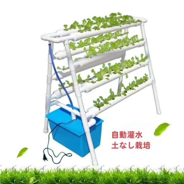 水耕栽培キット すいこう栽培キット いちご 野菜 栽培キット 室内 家庭菜園 水耕栽培セット プランター72穴 (72 穴)