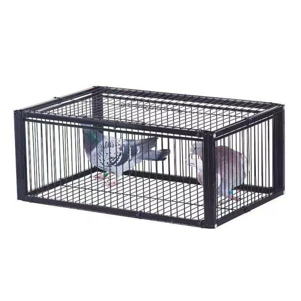 【天窓のデザインと四方の垂直ストリップ入り口】鳩トラップ 鳩の入り口ドアは、侵入のみでき、出られないように設計されています。ハトは簡単にドアに入ることができますが、ドアを通って出ることはできません。これはハトの繁殖に非常に役立ち、ハトの自由...