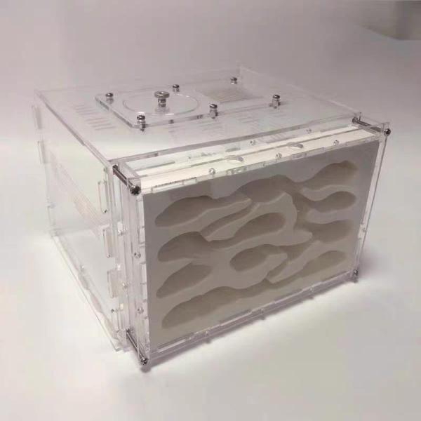 ■商品詳細タイプ：石膏巣サイズ：Sサイズ：8.5 * 9 * 7.5※Lサイズ、Mサイズも販売しております！素材：石膏+アクリル通知：アリなしのアリ農場のみ。特徴1.湿潤材料として石膏を使用することは、生きているアリに最適です。2.湿気が巣...