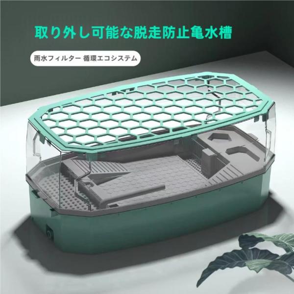 亀観察飼育用ガラスプラスチック水槽、特大 亀 飼育ケース、爬虫類ケージ 飼育容器、カメ ボックス、カメ生息地 脱出防止 亀の楽園 カメ亀 タンク ガラス水槽