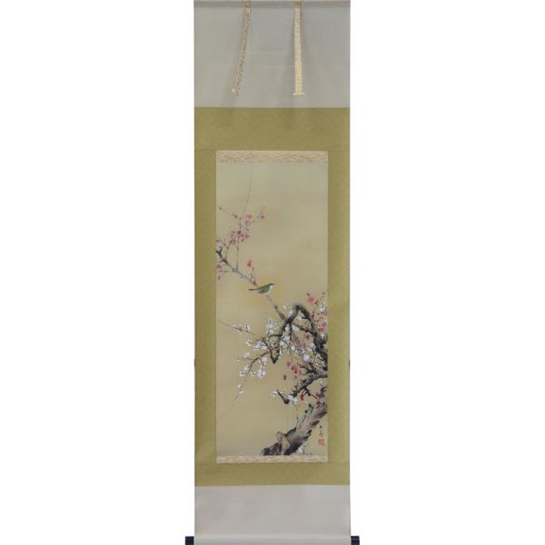 春の代表構図　梅に鶯の掛け軸です。◆サイズ　仕様幅48.5cm×丈170cm（尺三立） 特殊工芸品　桐箱入り サイズは多少の誤差がある場合もございます。