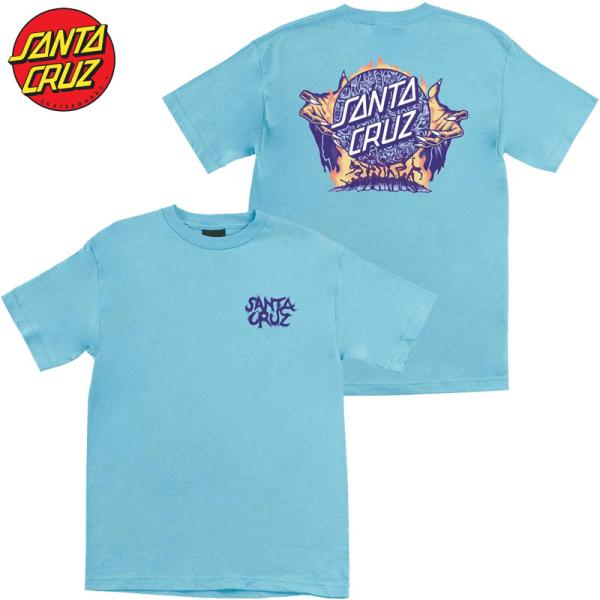 キーワードストリートブランド streetbrand スケートブランド skatebrand ジャパンブランド japanbrand santacruzskateboards サンタクルーズスケートボード slimeballswheels ...