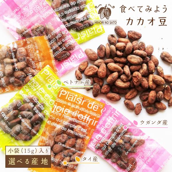 食べてみよう ローストカカオ豆 15g入り×6袋の通販価格と最安値