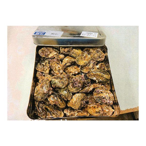 広島県産 釣り用生牡蠣です。3kgで約81個前後(時期によって多少大きさと個数が異なります)冷蔵で約1週間保存が可能です。それ以降は冷凍保存してください。岸壁に着く牡蠣とは違い、養殖牡蠣なので、実入りが大変良く冷凍しても生牡蠣と同様に使えま...