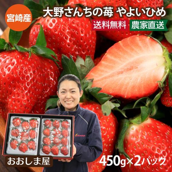 【発売日：2026年01月05日】●送料：○北海道・本州・四国・九州／送料無料○沖縄県・一部離島など／2,000円●農家直送のため同梱不可名称いちご（品種：やよいひめ）産地宮崎県西都市（大野農園）内容量2パック（1パック:450g 9個から...