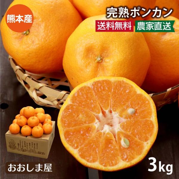 【発売日：2024年02月05日】■名称：ポンカン※ポンカンは種がある品種です。■産地：熊本■内容量：3kg（30-40玉前後）※大小混合（M〜２Ｌ）■賞味期限：2週間-3週間を目安にお召し上がりください。■送料：送料無料※沖縄及び一部離島...