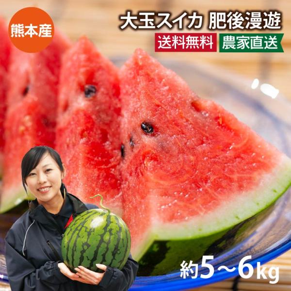 【発売日：2026年05月15日】送料：送料無料沖縄県・一部離島は別途送料2000円ご負担いただきます。ご了承ください。システム上、送料がつかずに決済を行いますが、再決済を行い確認メールをお届けします。●農家直送のため同梱不可■名称：スイカ...