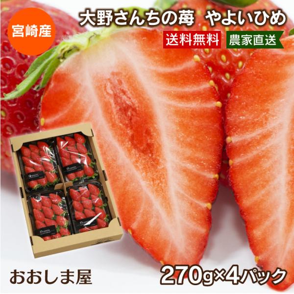 【発売日：2026年01月01日】●送料：○北海道・本州・四国・九州／送料無料○沖縄県・一部離島など／2,000円●農家直送のため同梱不可名称：いちご（品種：やよいひめ）産地：宮崎県西都市（大野農園）内容量：4パック×250g（2ー3Lサイ...