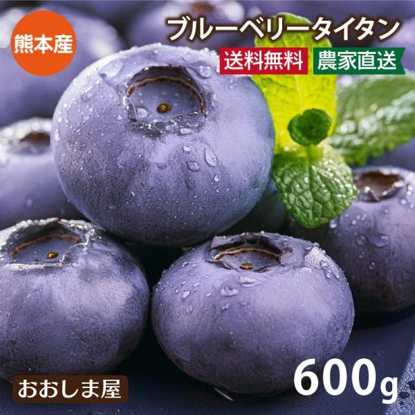 【発売日：2025年06月15日】■商品名:ブルーベリー■品種：タイタン（大粒）■産地:熊本県（第二城南学園農園）■内容:100g×6パック(1パック20-30粒前後)■送料:冷蔵便 送料無料/クール代込※沖縄及び一部離島は送料2,000円...