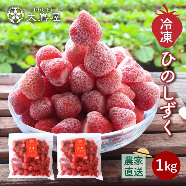 ●商品：冷凍いちご●品種：ひのしずく●産地：熊本県氷川地区（みやざき農園）●内容：500g入り×2パック（合計1kg）●送料無料※沖縄及び一部離島は送料2,350円＜農家直送のため他の商品と同梱出来ません＞
