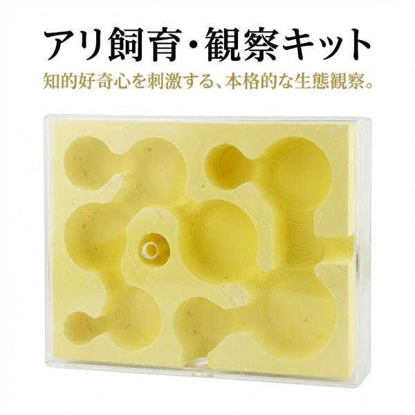【 商 品 説 明 】 〇アリを観察しやすい アリを飼育するためのコロニーです。 多くのアリを飼育可能で、巣の様子を横から観察できます。  〇アリのお世話をしよう スポイトなどを使用し適度に給水し、湿度を調整してください。 チューブを接続し...