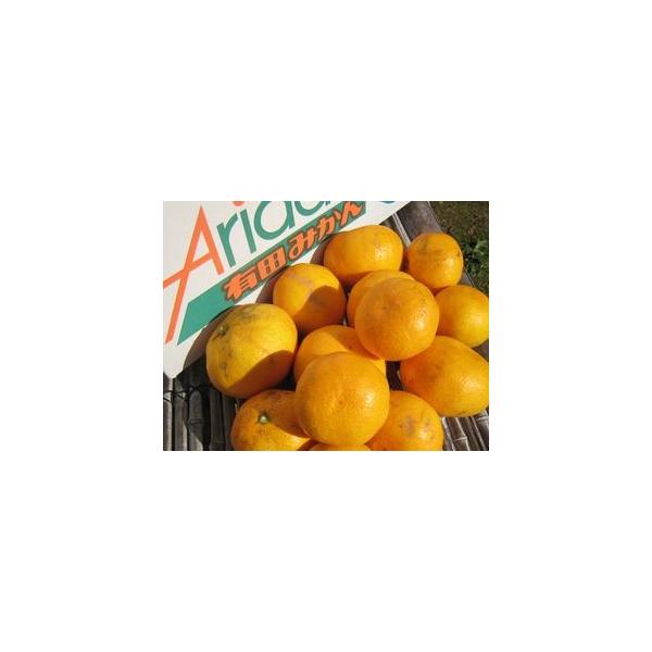 「こだわり肥料で育てた有田みかん」の家庭用におすすめのお得なみかんです。外皮にキズがあったり形が少し悪かったり生キズなどの腐るキズではなく、風などにより、外皮にキズが出ています。少し、不恰好なみかんもあります見かけは悪いですが、たくさん食べ...