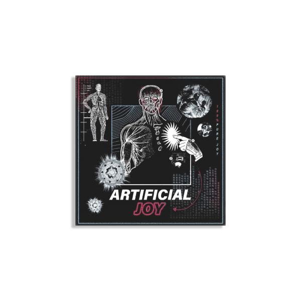 【ARTIFICIAL JOY / 100% PURE JOY (CD)】2019年のカセットテープが日本でも話題となり、 SKITKLASS とのスプリット7インチも大好評だった LA の ARTIFICIAL JOY がついに1st ア...