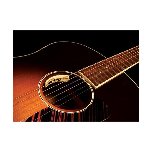 独自のコンデンサーマイクと評価の高いエレメントピックアップをシームレスに組合せ、どのようなシチュエーションでもスタジオマイクで録音したかの様な暖かさと忠実さを出力します。Tru-MicとElement、２つのピックアップの個性を最大限に活か...