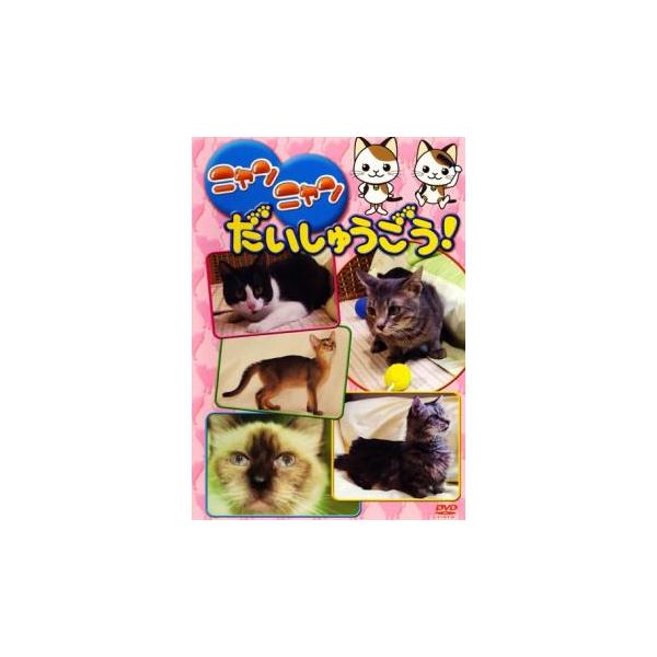 5000円以上送料無料の対象商品です。  爆買【バーゲン】 (ジャンル) その他、ドキュメンタリー 動物 その他 (入荷日) 2026-05-14