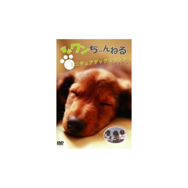 5000円以上送料無料の対象商品です。  爆買【バーゲン】 (ジャンル) 趣味、実用 動物 (入荷日) 2026-05-12