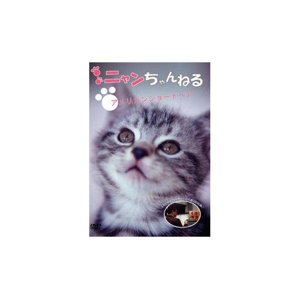 5000円以上送料無料の対象商品です。  爆買【バーゲン】 (ジャンル) 趣味、実用 動物 (入荷日) 2026-04-14