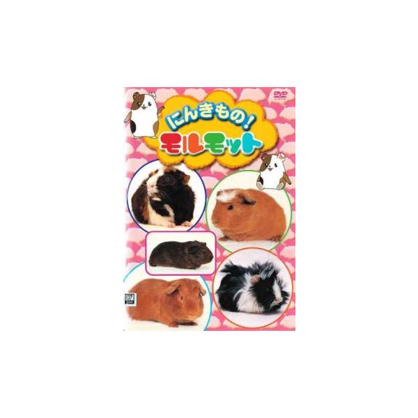 5000円以上送料無料の対象商品です。  爆買【バーゲン】 (ジャンル) 趣味、実用 子供向け、教育 動物 (入荷日) 2026-05-14
