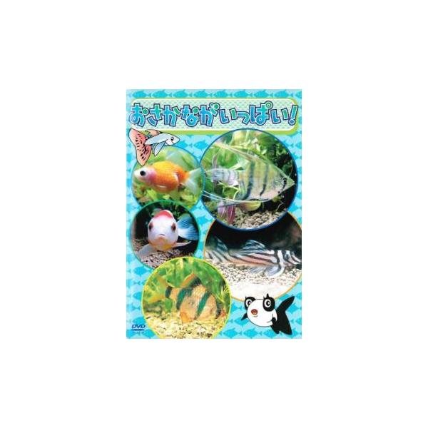 5000円以上送料無料の対象商品です。  爆買【バーゲン】 (ジャンル) 趣味、実用 子供向け、教育 (入荷日) 2026-05-14