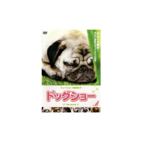 5000円以上送料無料の対象商品です。  爆買【バーゲン】(監督) 中川究矢 (出演) 川原亜矢子 (ジャンル) その他、ドキュメンタリー 動物 感動 (入荷日) 2026-04-22