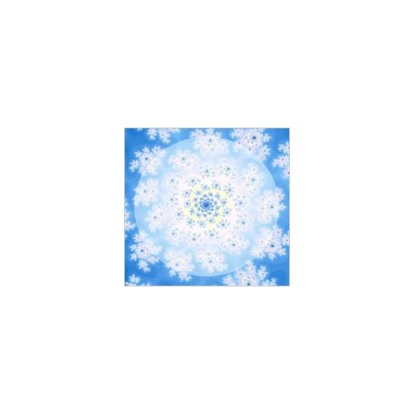 5000円以上送料無料の対象商品です。  爆買 (ジャンル) CD、音楽 洋楽 ヒップホップ ラップ オムニバス (入荷日) 2024-06-18