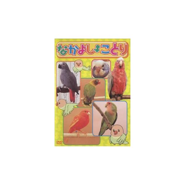 5000円以上送料無料の対象商品です。  爆買【バーゲン】 (ジャンル) 趣味、実用 子供向け、教育 動物 (入荷日) 2026-04-15