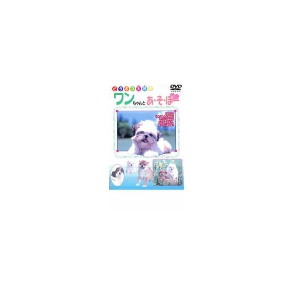 5000円以上送料無料の対象商品です。  爆買【バーゲン】 (ジャンル) 趣味、実用 子供向け、教育 (入荷日) 2026-04-24