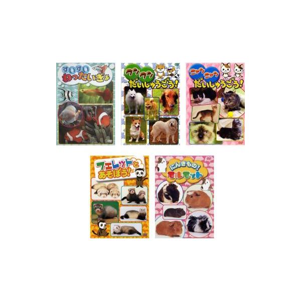 5000円以上送料無料の対象商品です。  爆買 全5巻 【バーゲン】 (ジャンル) 趣味、実用 子供向け、教育 動物 (入荷日) 2026-04-24