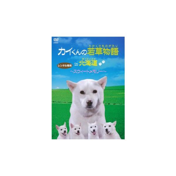 5000円以上送料無料の対象商品です。  爆買【バーゲン】 (出演) 川野太郎 (ジャンル) 趣味、実用 動物 (入荷日) 2026-04-28