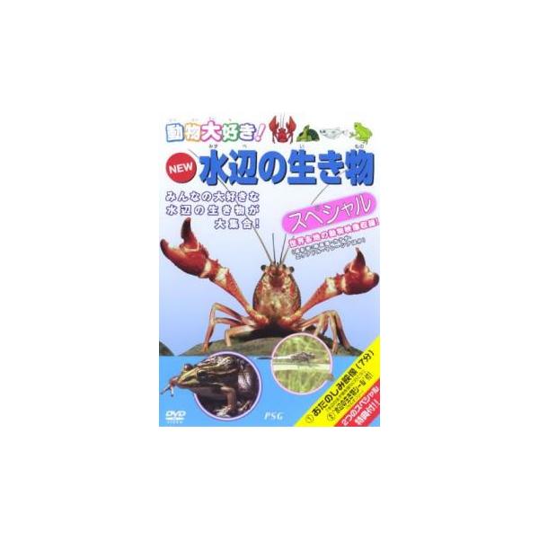 5000円以上送料無料の対象商品です。  爆買【バーゲン】 (ジャンル) 趣味、実用 子供向け、教育 (入荷日) 2026-04-03