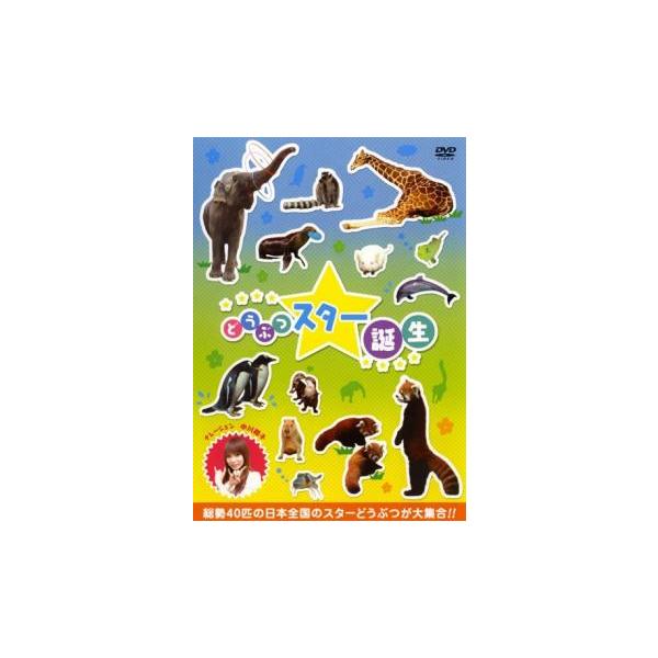 5000円以上送料無料の対象商品です。  爆買【バーゲン】 (出演) 中川翔子 (ジャンル) 趣味、実用 動物 (入荷日) 2026-04-24