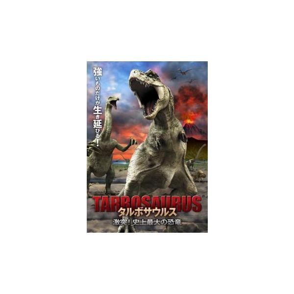 5000円以上送料無料の対象商品です。  爆買【バーゲン】(監督) ハン・サンゴ (ジャンル) 洋画 アジア アドベンチャー アクション (入荷日) 2025-06-18