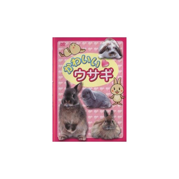 5000円以上送料無料の対象商品です。  爆買【バーゲン】 (ジャンル) 趣味、実用 子供向け、教育 動物 (入荷日) 2026-05-18