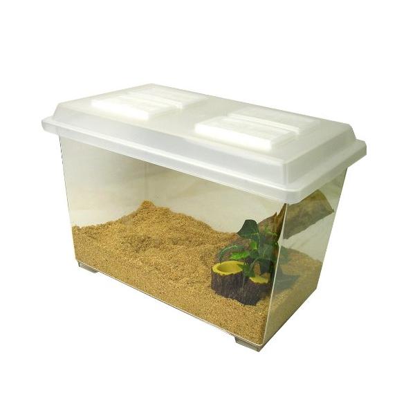【商品概要】商品サイズ　D221×W370×H240mmカブトムシの多頭飼育も可能な大きさ他に「タイニー」「ミニ」「小」「中」サイズがありますコバエシャッター「大」にはセパレータはありません【商品説明】説明画期的な「コバエ撃退」昆虫飼育ケー...