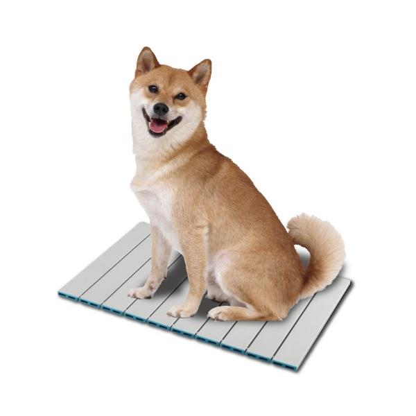 ■システム反映の都合上、ご購入後でも品切れになっている場合があります。その場合、ご登録のメールアドレスに通知致します。必ずご確認をお願いします。■サイズ・カラー等の記載が無い場合や複数記載がある場合があります。ご不明点は、ご購入前にご質問く...